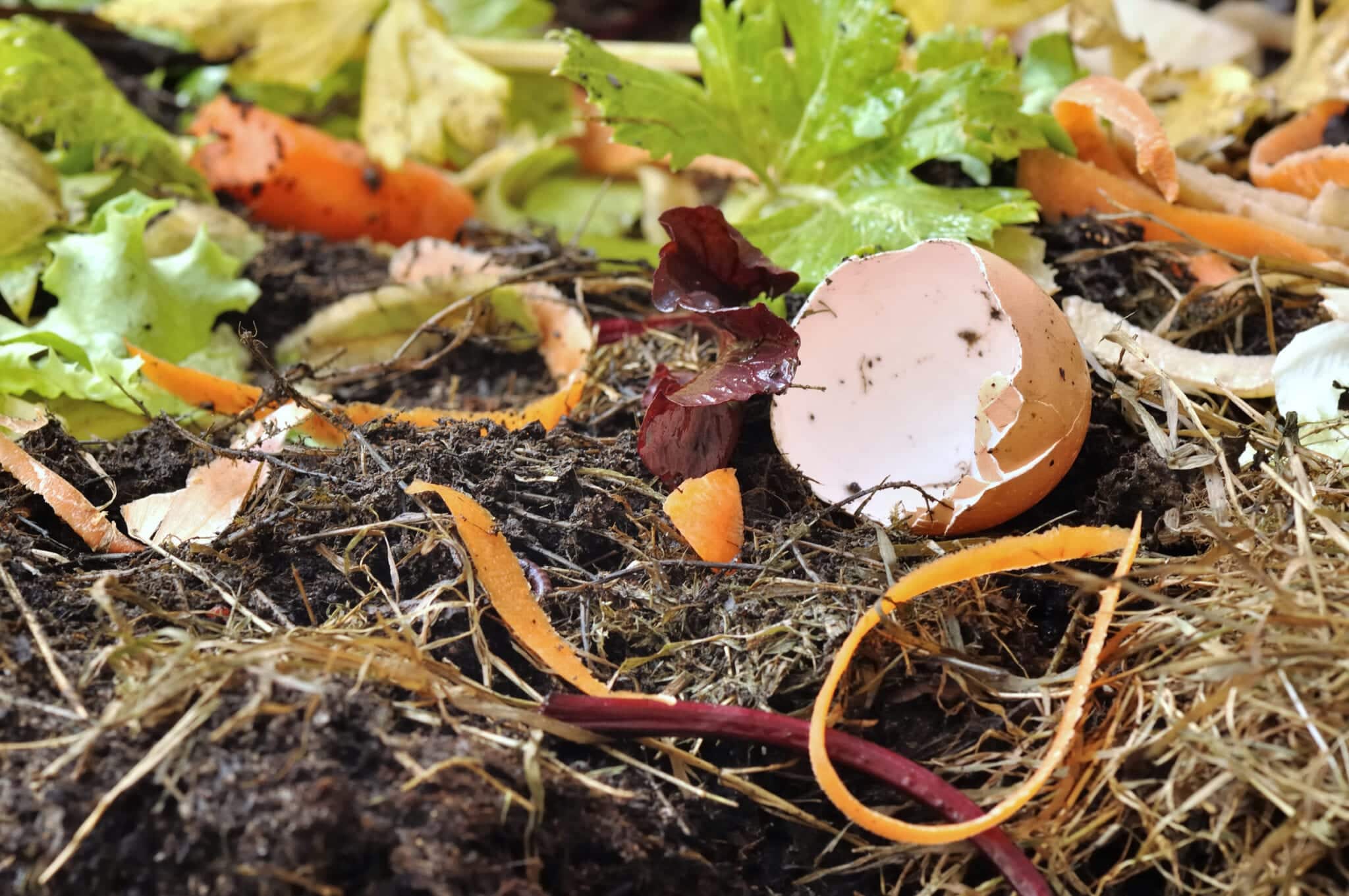 The Benefits of Home Compost for Your Garden - ALD