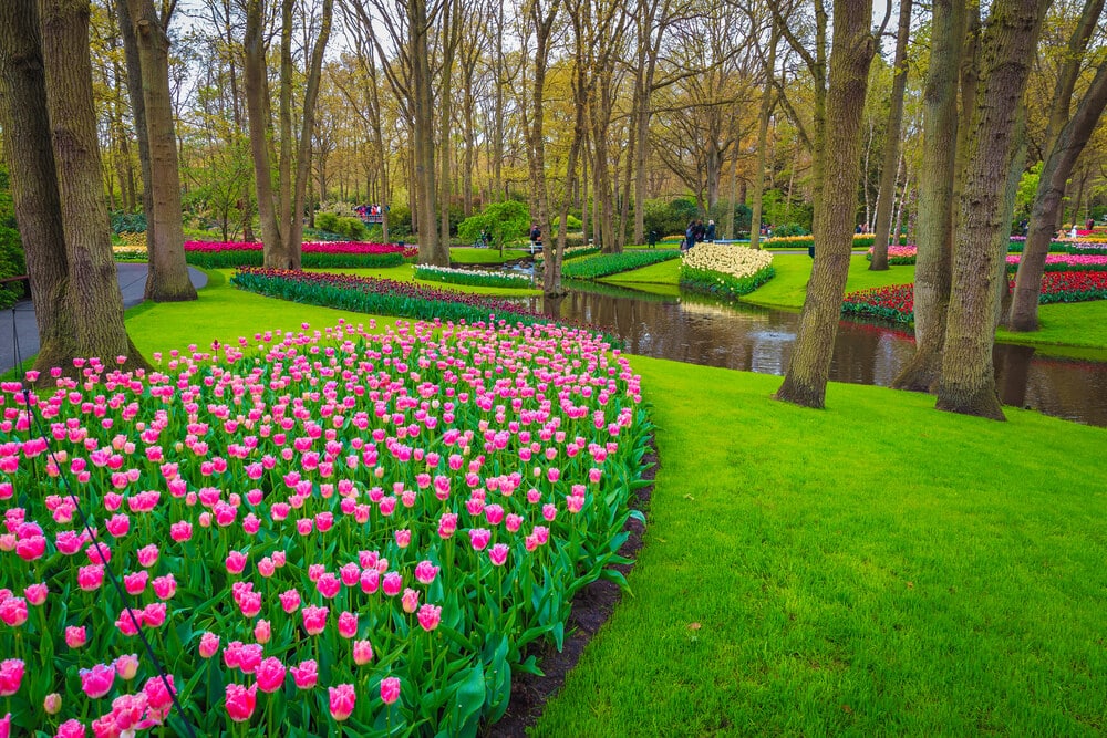 Garden Aesthetic Tips for a Beautiful Home Landscape - ALD