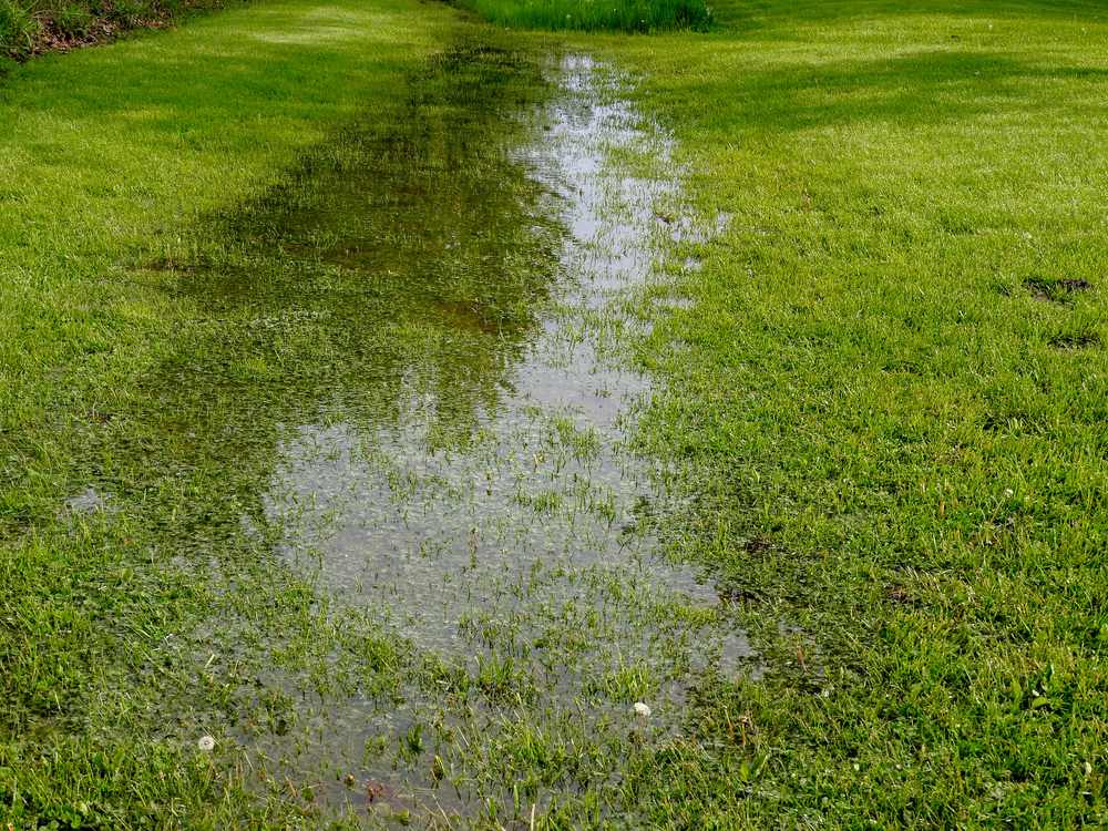 How to Improve Drainage in Your Backyard - ALD