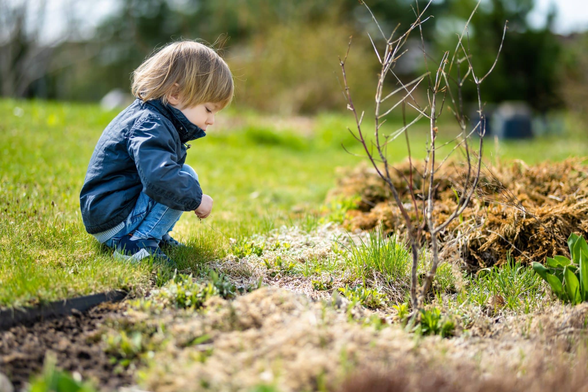 10 Ideas for Creating an Eco-Friendly Landscape - ALD